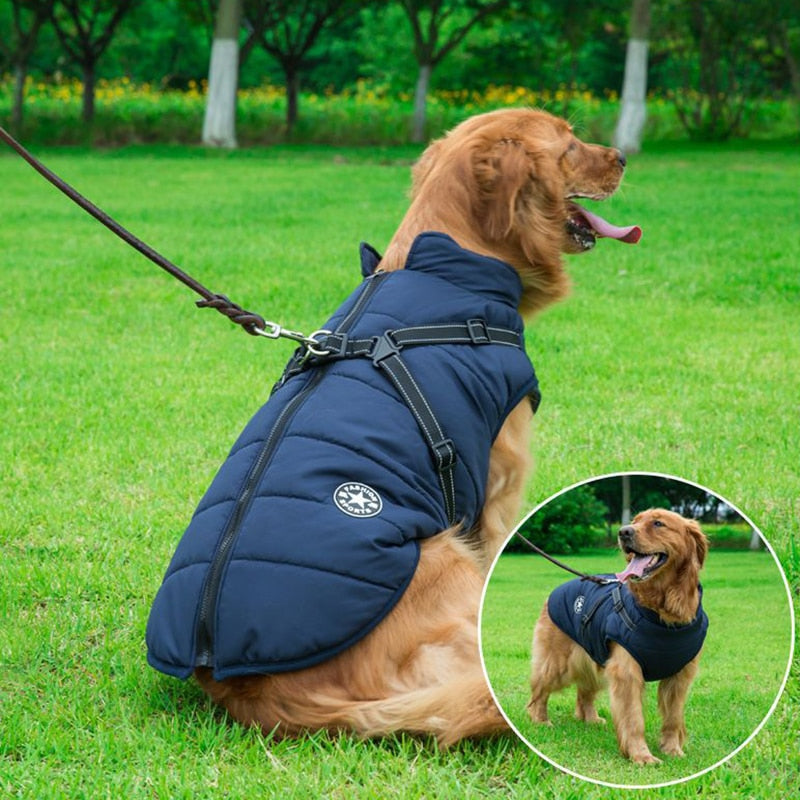 DogFri™ DogJacket: Vattentät Vinter Hundjacka – Sebutik Sverige